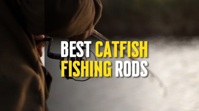Best Catfish Fishing Rods - The Outdoor Tips