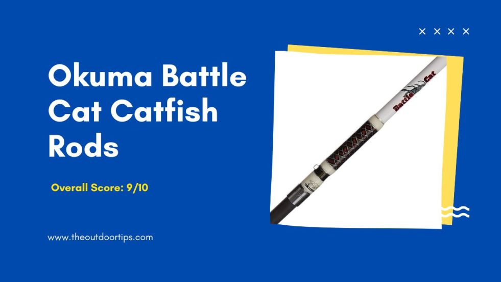 Best Catfish Fishing Rods - The Outdoor Tips